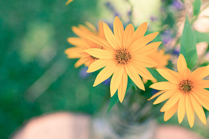 Heidi + Nick's Country Wedding | Inclusive Photographer for Real Life ...