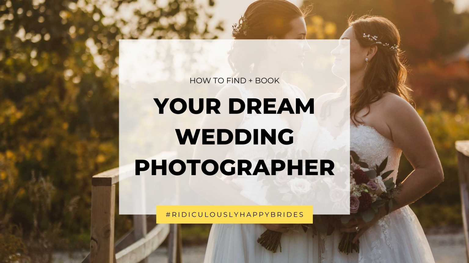 Dream Wedding Photographer: Learn How To Find and Book Them! | Sophia Lemon