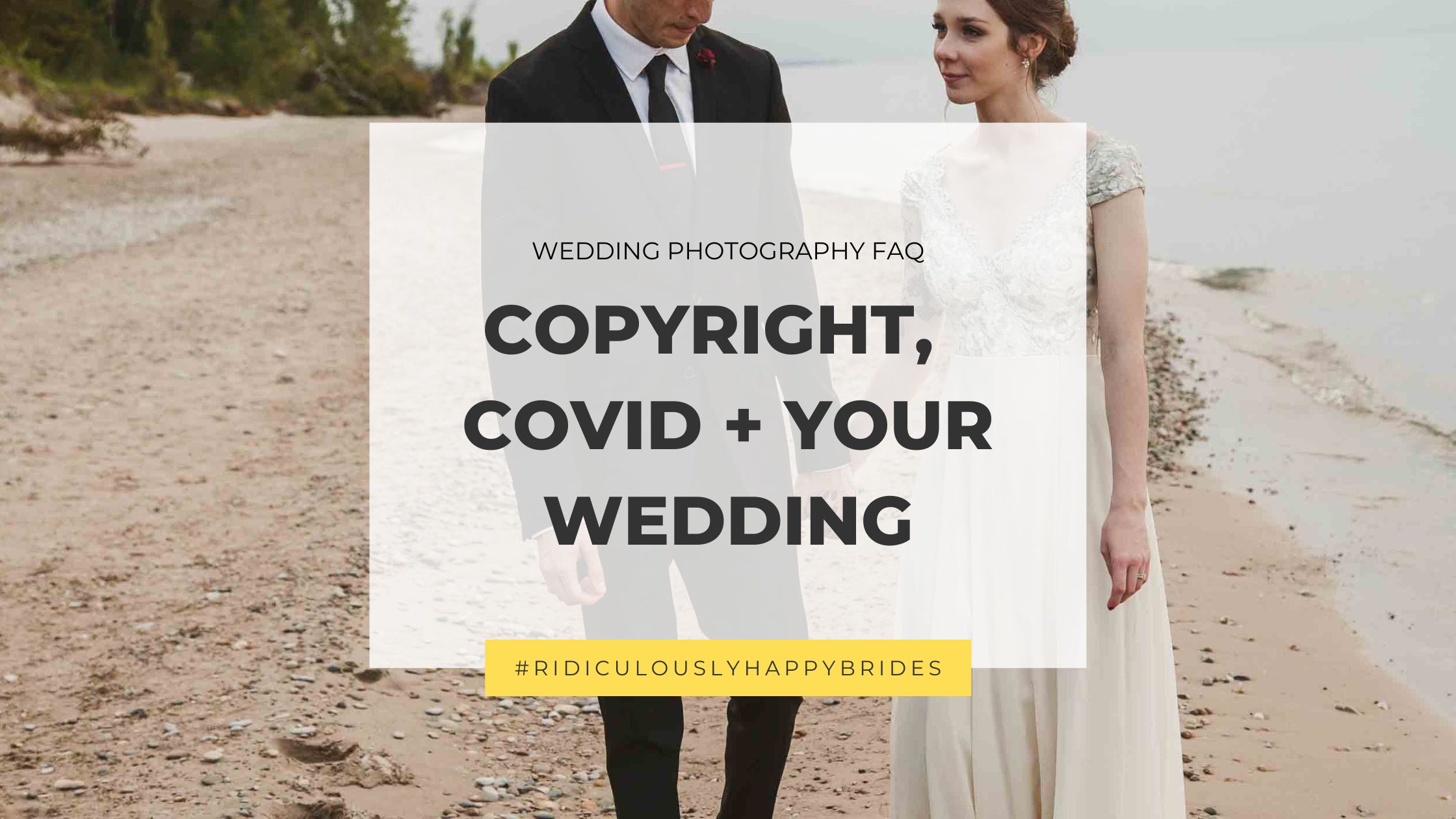 What To Expect From Your Professional Wedding Photographer