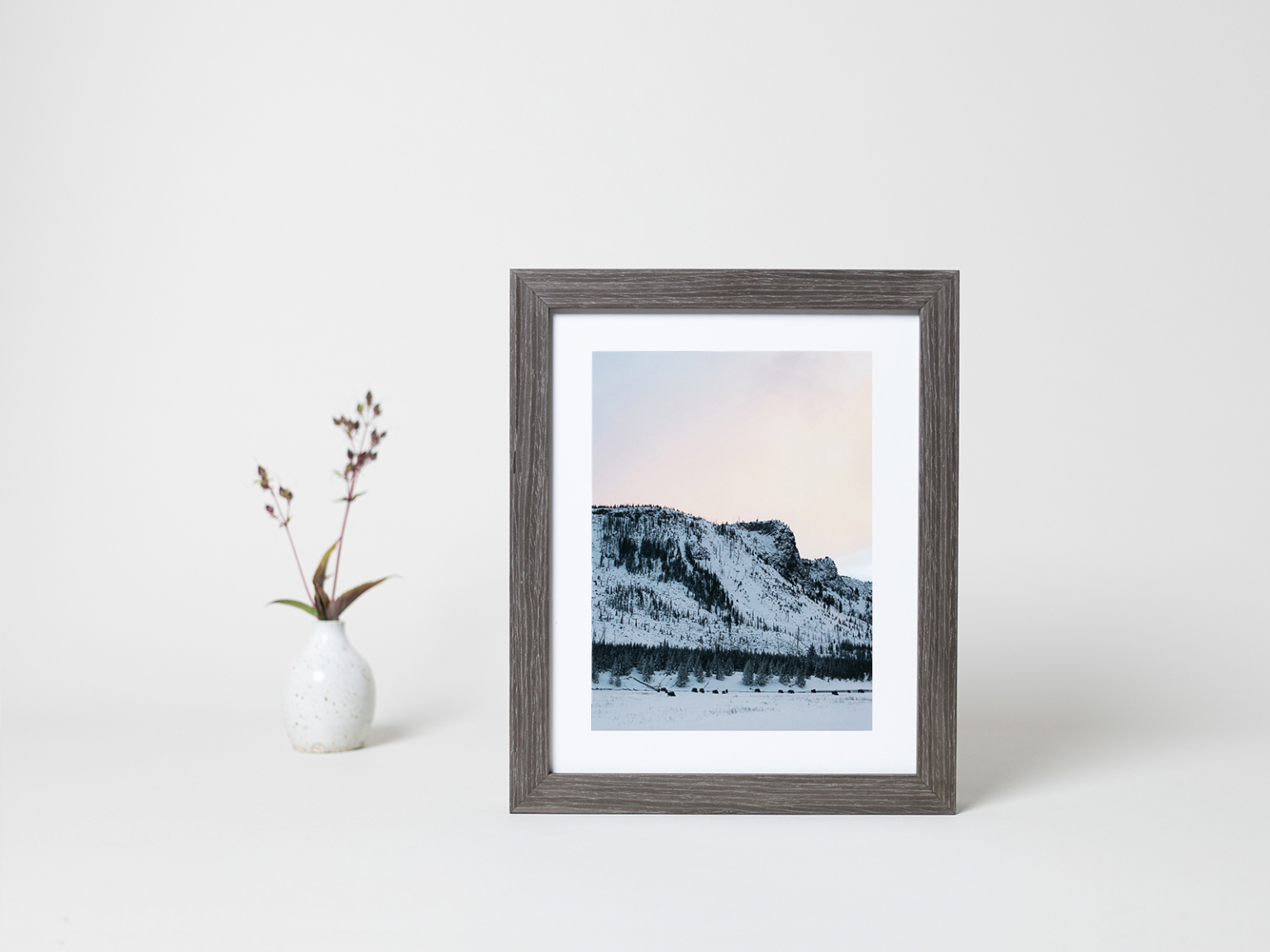 Photography Print Artwork: What Are Your Options?