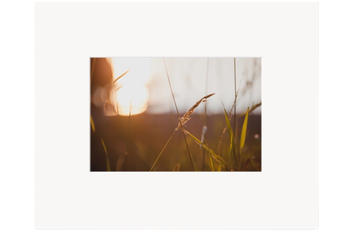 Inclusive Photos in Bruce, Grey, Simcoe, and Muskoka | Ridiculously ...